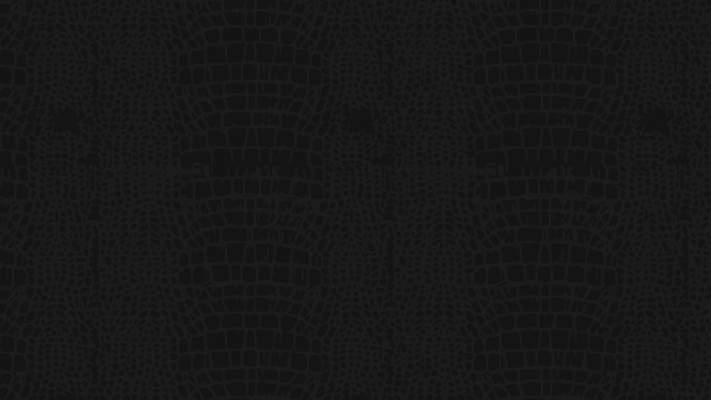 Wicked Webdesign And More